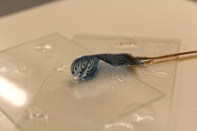 This squishy material could be the next big step in computer brain ...