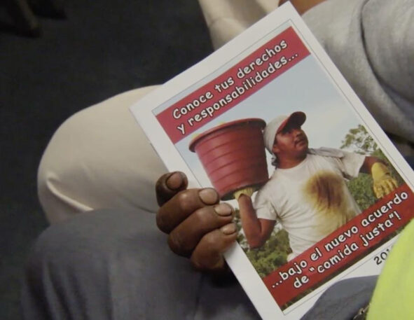 How Fair Food Program is helping eradicate modern-day slavery on farms