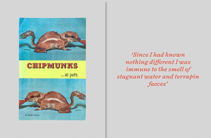 'The Book Cover Review' celebrates the art of book covers