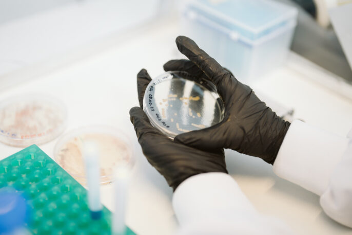 These textiles were grown by bacteria