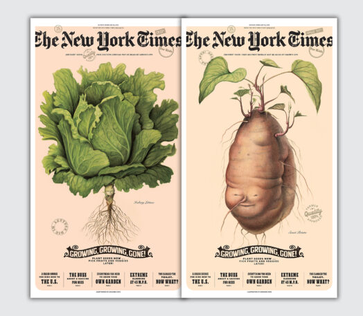 How design helped the ‘New York Times’ woo a whole new generation of ...