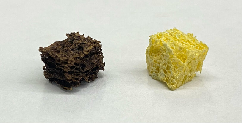 These reusable sponges could clean the lead out of your drinking water