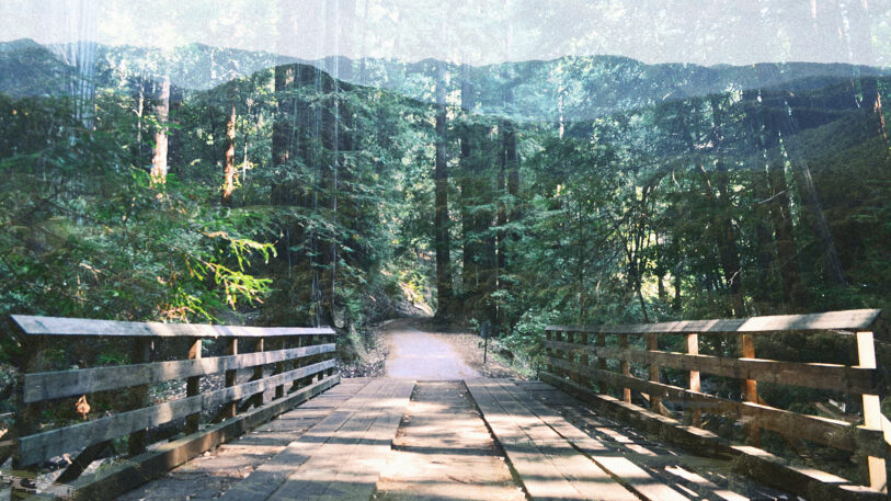 Inside a controversial new plan to manage 300 million acres of family ...