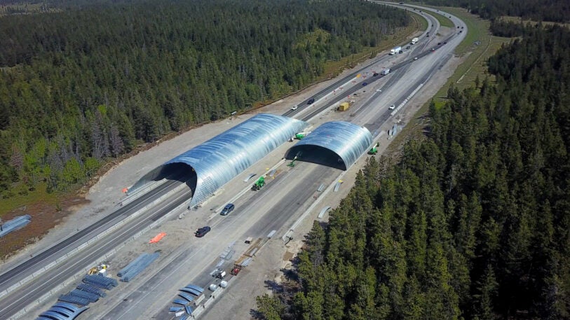 These massive steel arches will soon be a bridge for bears, elk, and ...
