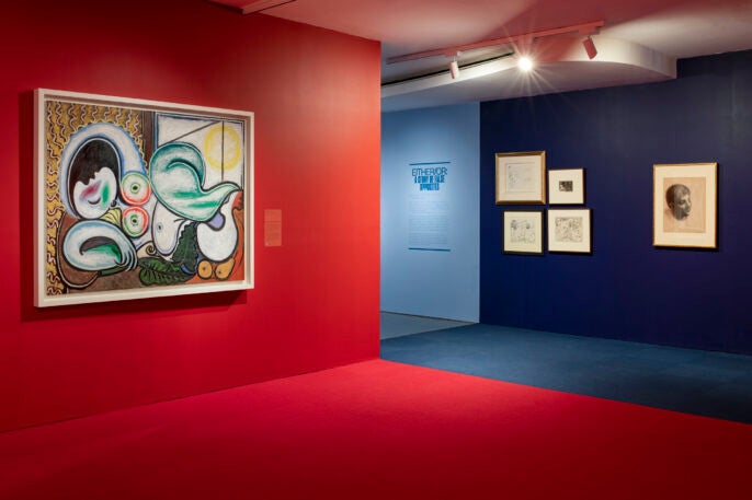 Hannah Gadsby and the Brooklyn Museum take on Pablo Picasso's legacy