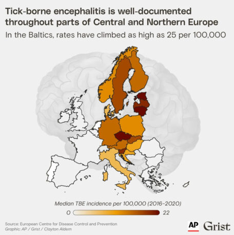 Ticks are spreading a brain-swelling illness in Europe