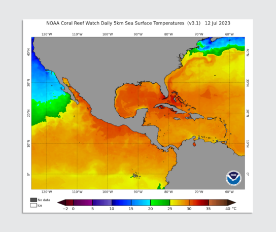 How the ocean heat wave of 2023 is hurting coral reefs