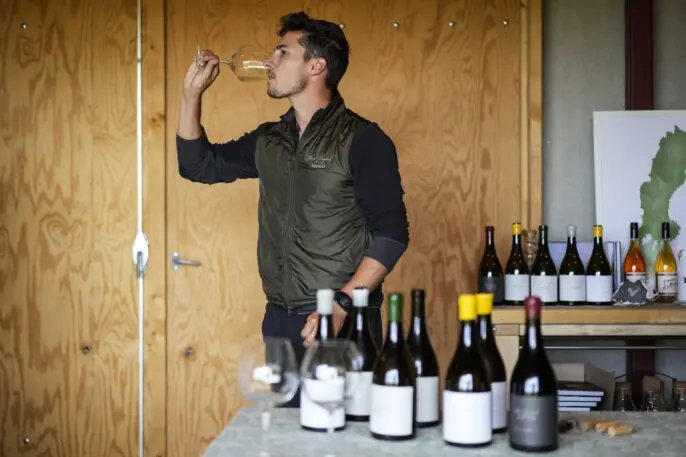 How Sweden's young wine industry is taking advantage of global warming