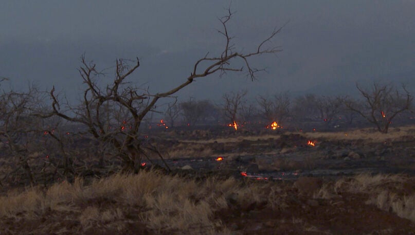 Why the Maui fires have become so deadly