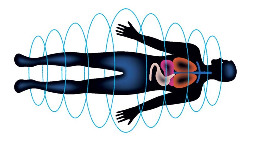 Prenuvo's AI body scanner can detect hundreds of medical conditions in ...