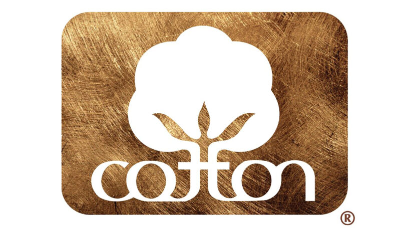 How did cotton become the fabric of our lives?