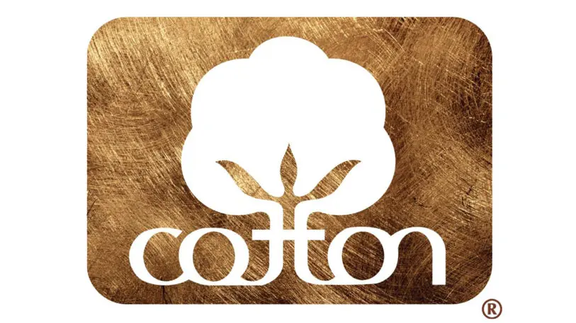 How did cotton become the fabric of our lives?