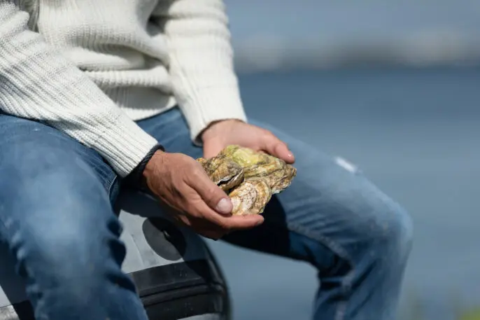 Why your next favorite sweater may be made from oysters