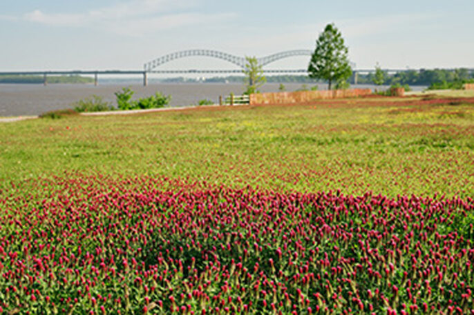 $61 million Memphis park by Scape and Studio Gang rebuilds connection ...