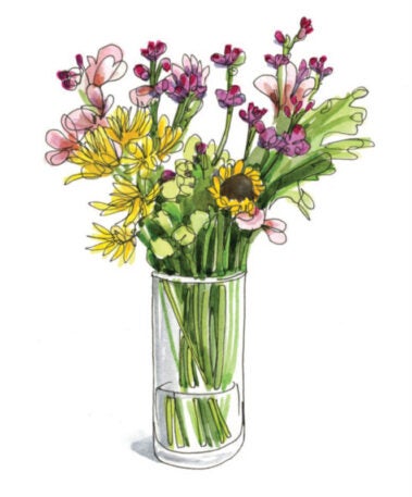 Wendy MacNaughton's 'How to Say Goodbye' is a poignant meditation on death