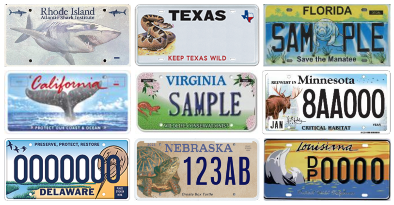 Personalized license plates took over America. Here are all 8,291 of them.