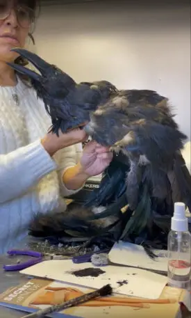 Hollywood still gets Indigenous costumes wrong. Carmen Thompson wants ...