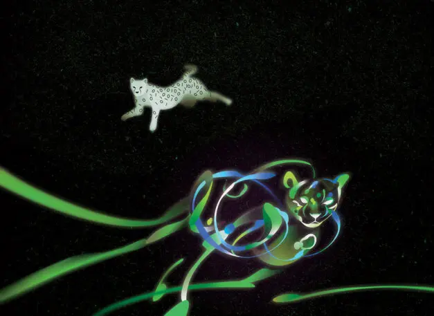 Why Adobe, Disney, Phasecraft, and Wiliot's tech is so impressive