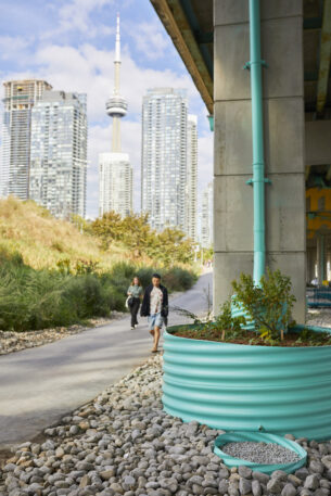 How Toronto transformed a highway underpass into a vibrant public space