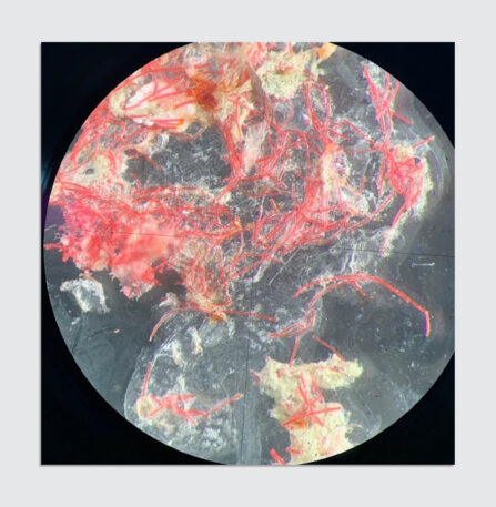 Laundry causes microplastic pollution: How to wash clothes sustainably