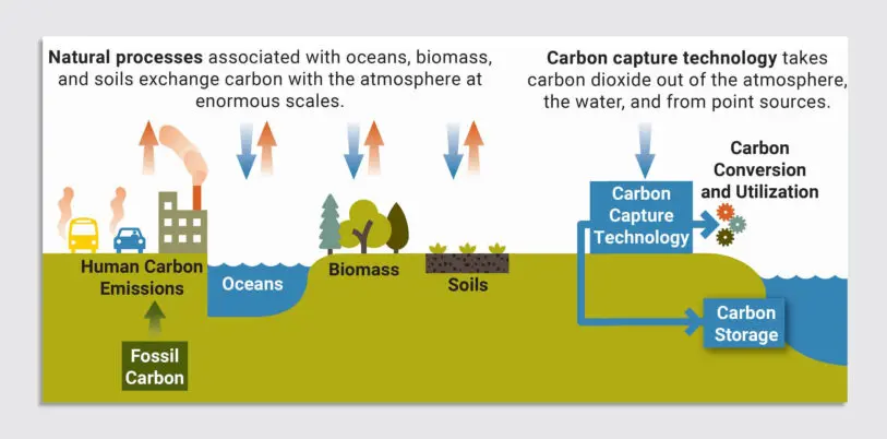 Which carbon capture projects have the most environmental benefits?