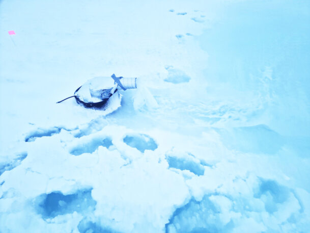 This Dutch startup has a plan to help save Arctic sea ice