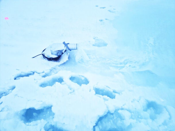 This Dutch startup has a plan to help save Arctic sea ice