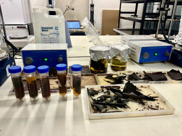 London startup Arda Biomaterials is making leather bags out of beer