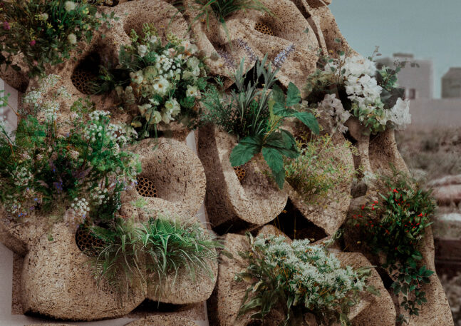 Buildings of the future will be designed for humans and insects