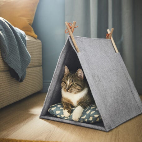 Ikea's new Utsådd collection is designed for your pets