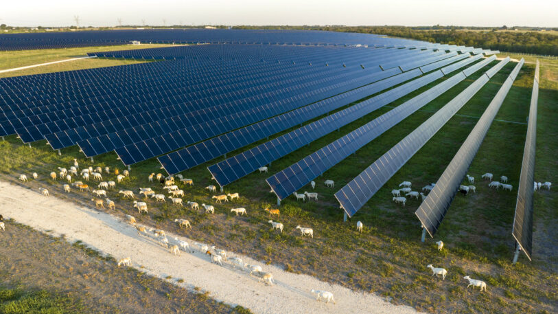 What happens to solar power during an eclipse—and how are utilities ...