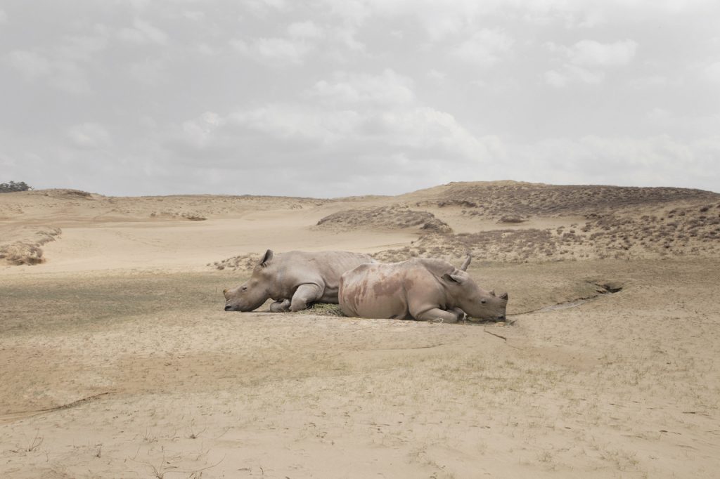 A Beautiful, Terrifying Guide To The World's Man-Made Plants And ...