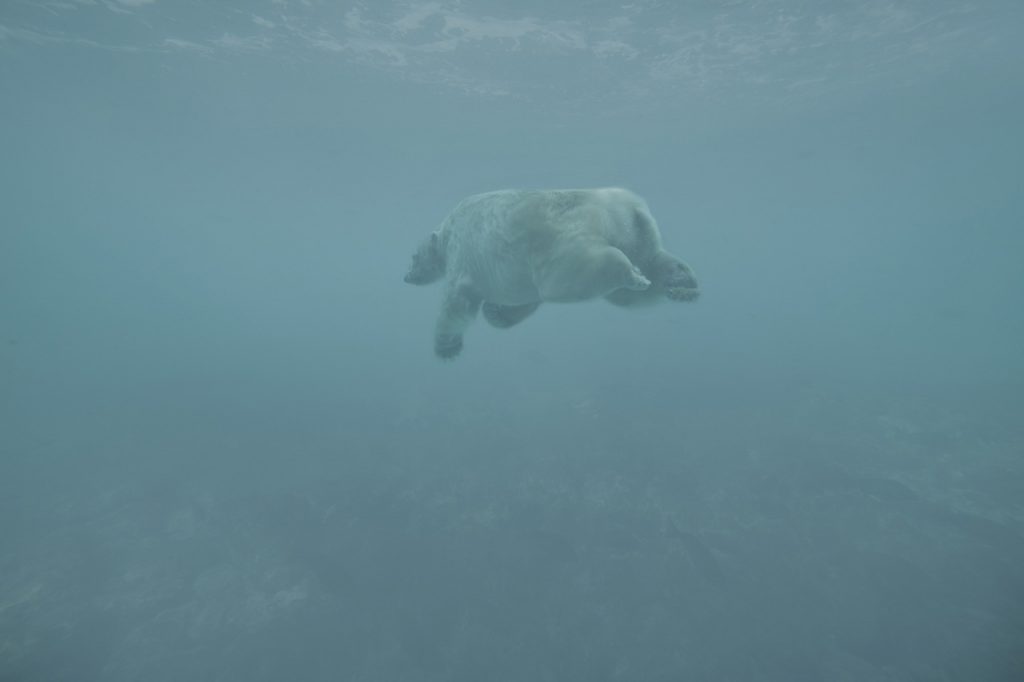 A Beautiful, Terrifying Guide To The World's Man-Made Plants And ...