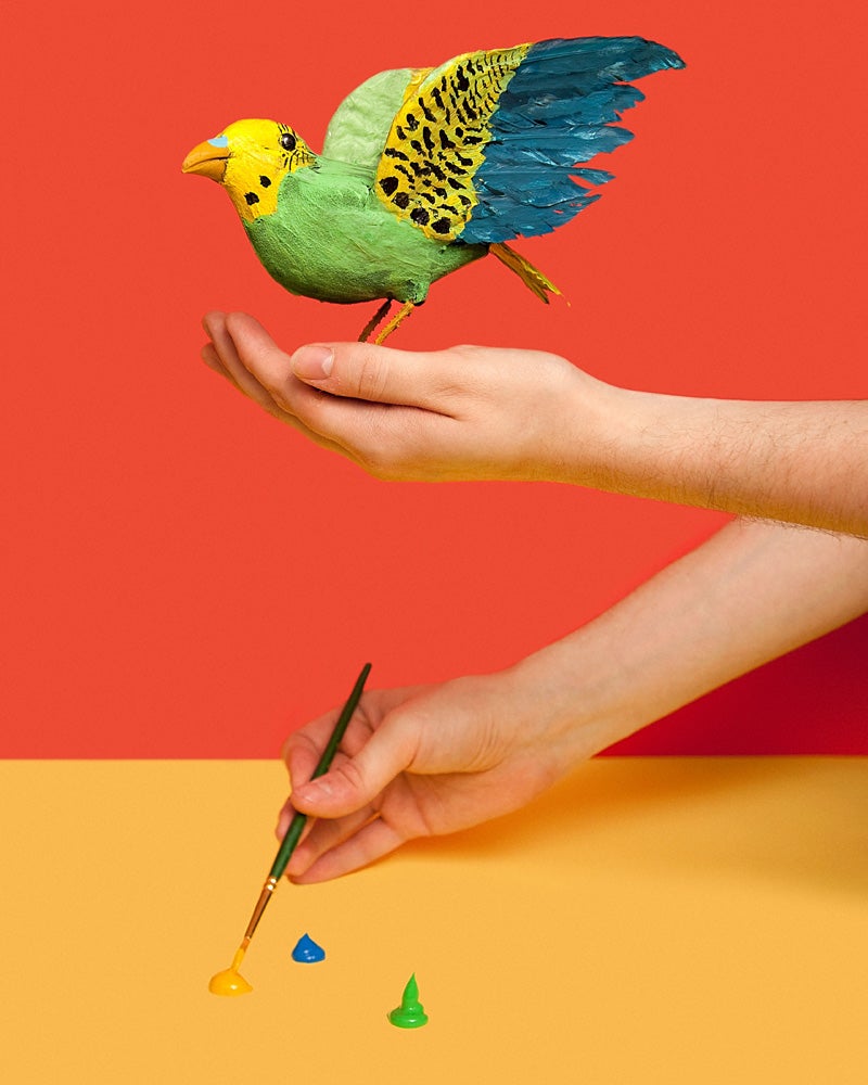 10 Absurdist Photographs Depicting "America's Most Unusual Laws" - Fast ...