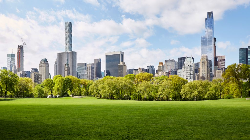 Trees Can Save A City $500 Million Every Year - Fast Company