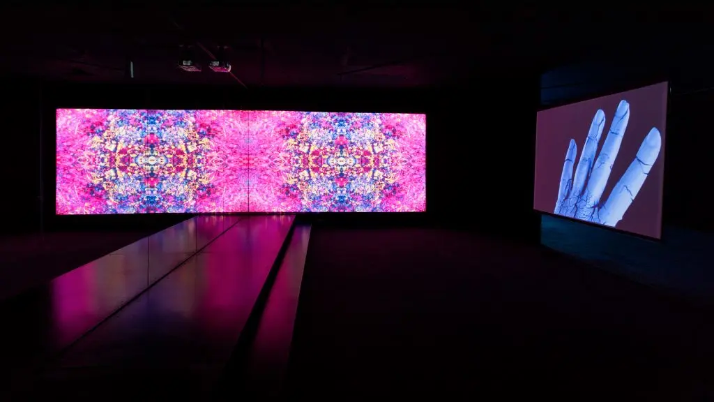 ASMR, The Internet Subculture Of "Sounds That Feel Good," Is Going ...