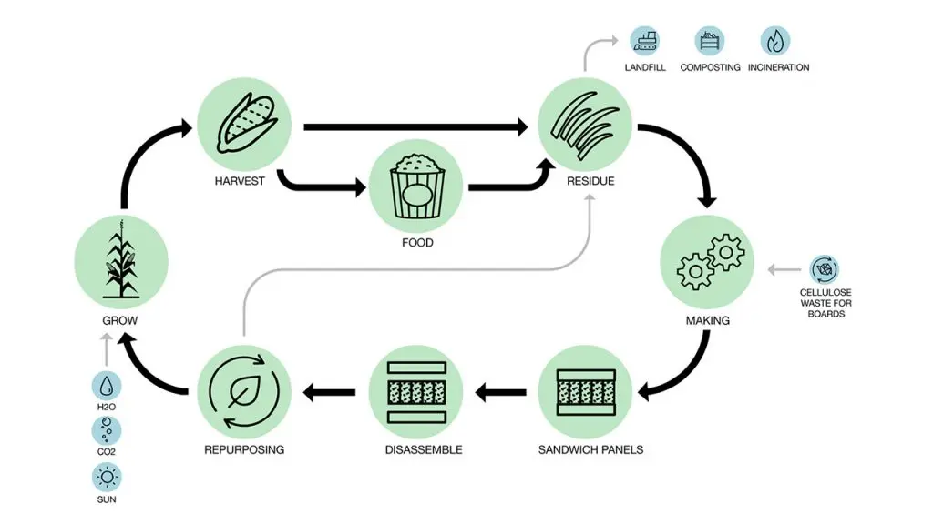 Corn Walls And Rice Bricks: Tomorrow's Cities Will Be Built From Crops ...