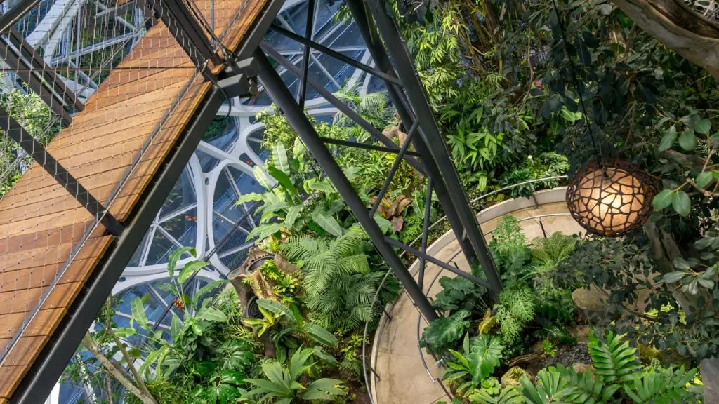 A First Look At The Spheres, Amazon's Wild New Corporate Biodome - Fast ...