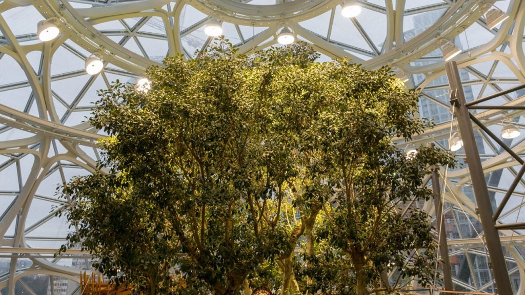 A First Look At The Spheres, Amazon's Wild New Corporate Biodome - Fast ...