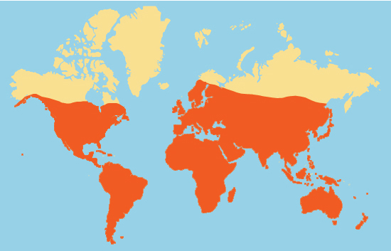Have Cowl, Will Travel Around the World: Batman Incorporated (Part 1)